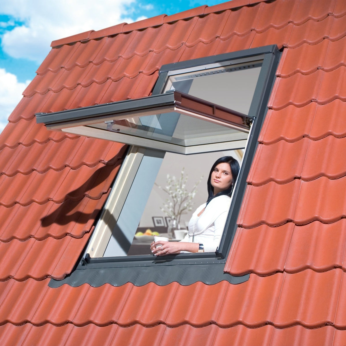 Top Hung & High Pivot Pitched Roof Windows for Lofts – Trusted Building ...